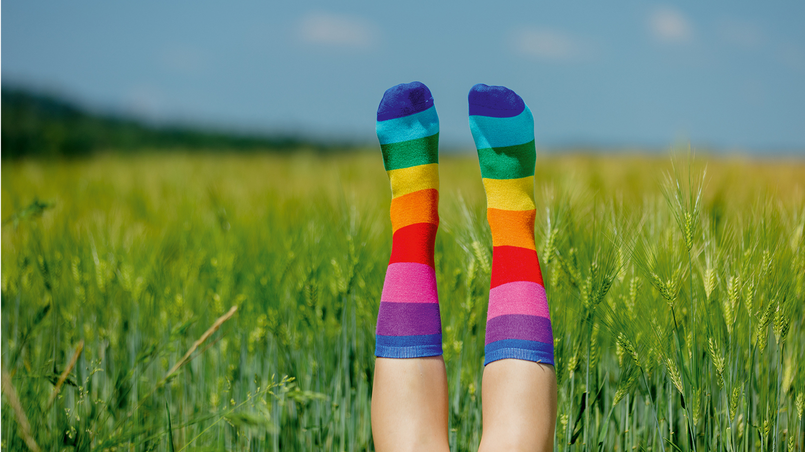 „Queer – Vielfalt leben“ | HAWK Hochschule für angewandte Wissenschaft ...