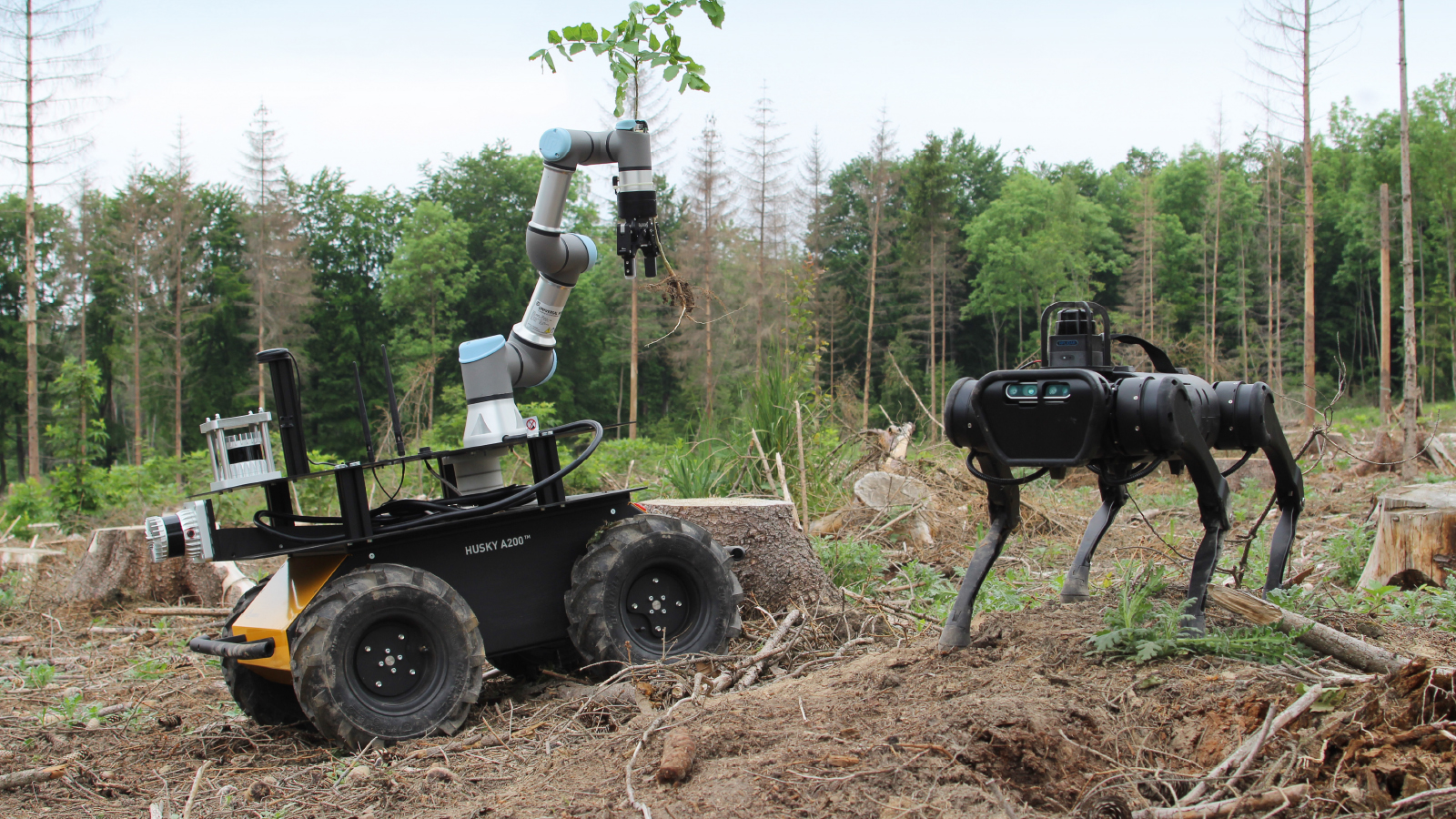 Studiengang Bachelor of Engineering (B.Eng) Technische Informatik und Robotik | HAWK